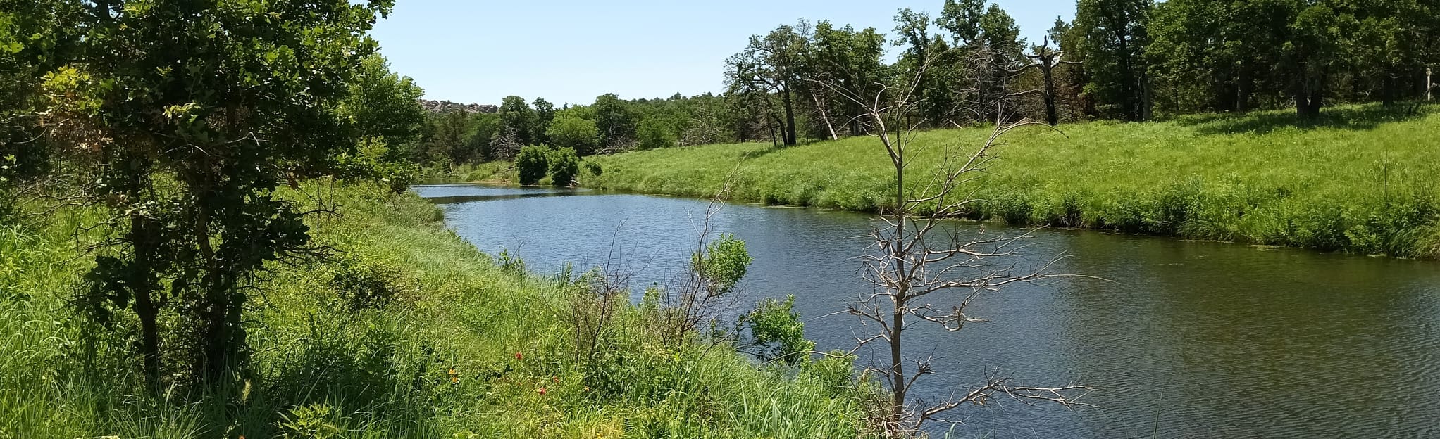 AllTrails | Kite Trail to Bison Trail Loop: 465 Reviews, Map - Oklahoma