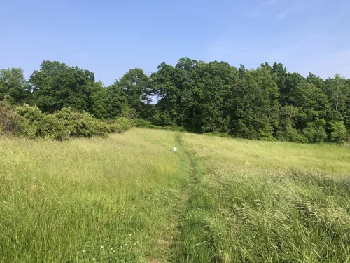 Best Hikes and Trails in Castle Neck River Reservation | AllTrails