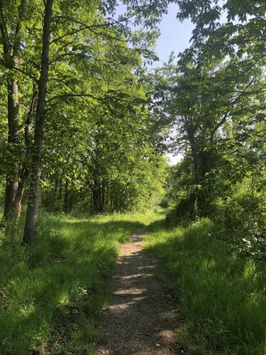 Best Hikes and Trails in Castle Neck River Reservation | AllTrails