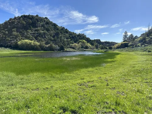 Best Backpacking Trails in Dixie National Forest | AllTrails