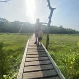 Cornell Farm Bridge, Massachusetts - 400 Reviews, Map | AllTrails