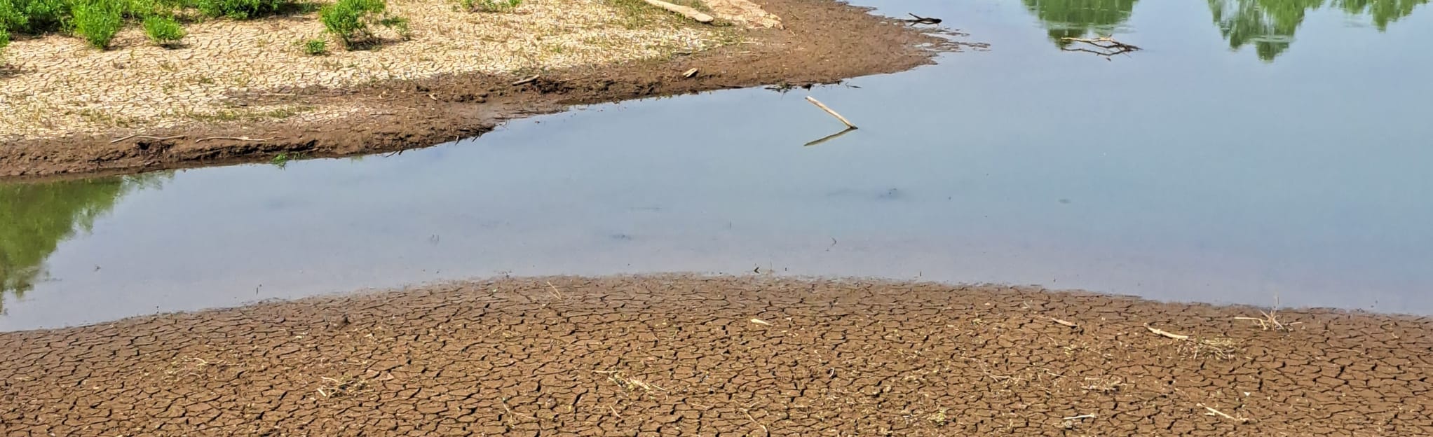 AllTrails | West Penn Trail: Conemaugh Lake Section: 72 Reviews, Map ...