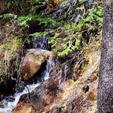 Adrenaline Falls, Colorado - 191 Reviews, Map | AllTrails
