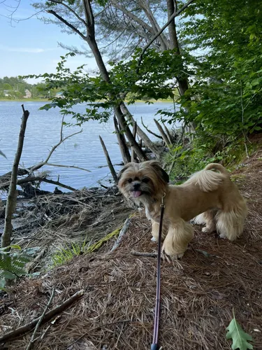 Best Hikes and Trails in Bellamy River Wildlife Sanctuary | AllTrails