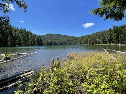 10 Best Dog Friendly Trails in Oregon | AllTrails