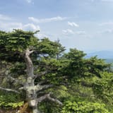 Devil's Path to the Jimmy Dolan Notch Overlook and Twin Mountain Summit ...