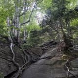 Devil's Path to the Jimmy Dolan Notch Overlook and Twin Mountain Summit ...