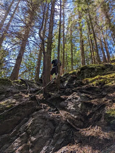 2023 Best Views Trails in Vedder Mountain Interpretive Forest | AllTrails