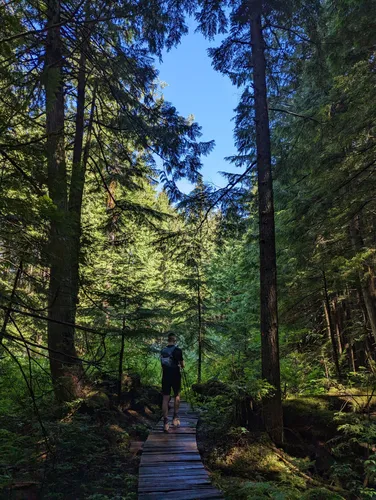 2023 Best Views Trails in Vedder Mountain Interpretive Forest | AllTrails