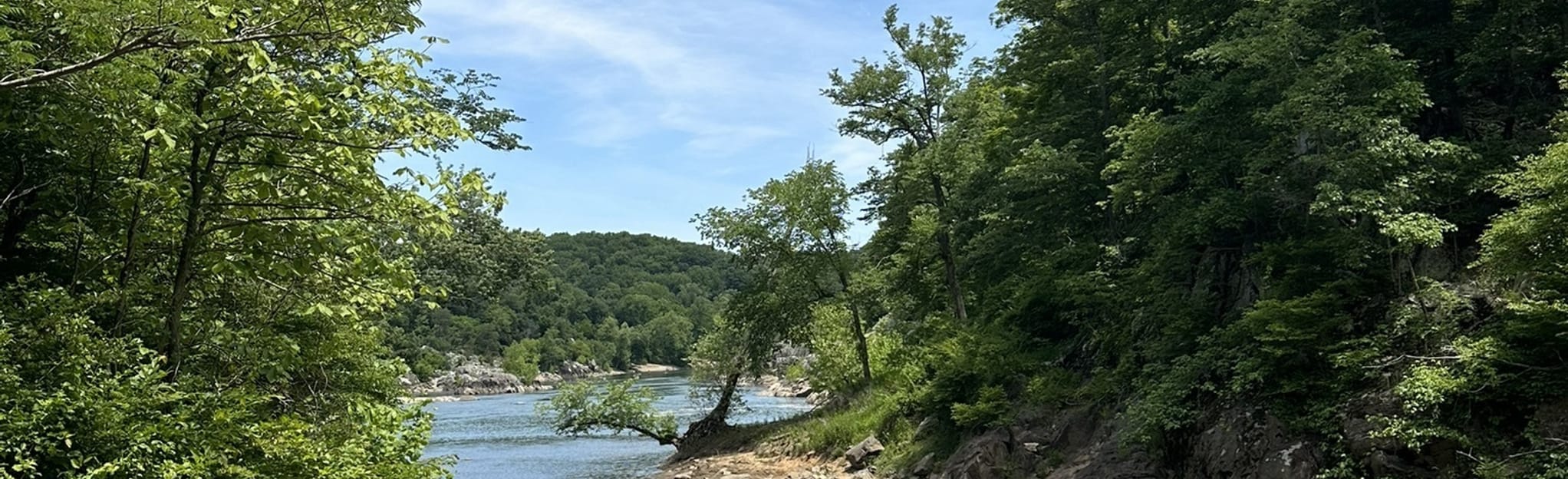 Ridge Trail via Difficult Run Trailhead: 136 Reviews, Map - Virginia ...