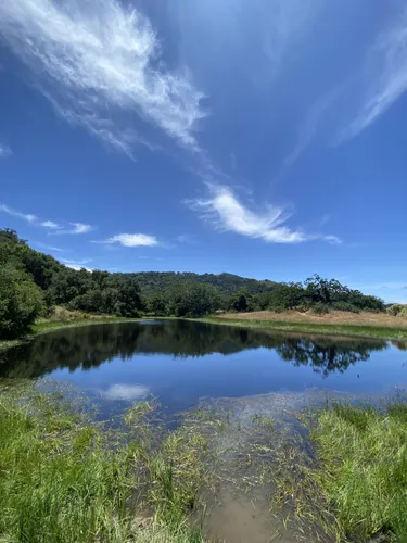 Best 10 Hiking Trails in Garland Ranch Regional Park | AllTrails