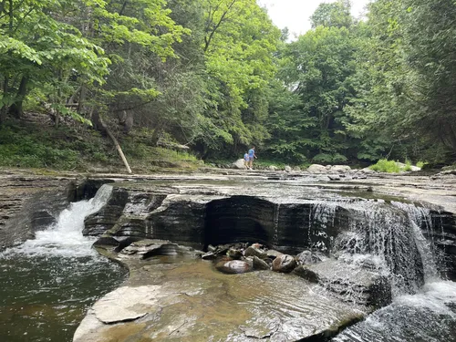 Best Hikes and Trails in Lowville | AllTrails Best Hikes and Trails in Lowville | AllTrails