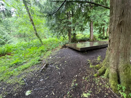 10 Best Trails and Hikes in Powell River A | AllTrails