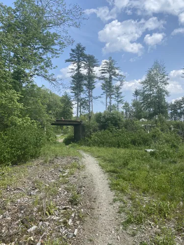 10 Best Trails and Hikes in Groton | AllTrails