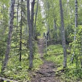 Scout Ridge Trail, Alaska - 280 Reviews, Map | AllTrails