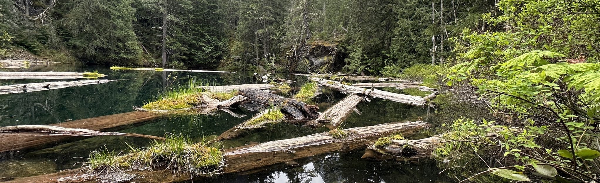 Pyramid Lake Trail, Washington - 271 Reviews, Map | AllTrails