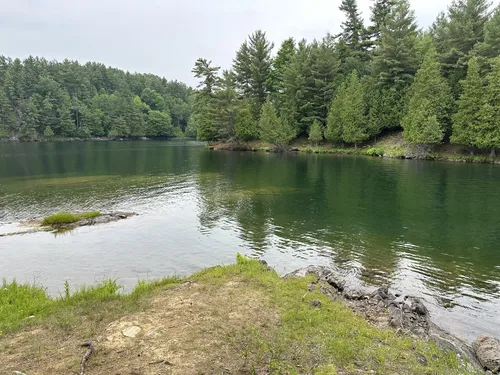 2023 Best Forest Trails in Gould Lake Conservation Area | AllTrails