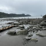 Rialto Beach Trail, Washington - 334 Reviews, Map | AllTrails