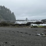 Rialto Beach Trail, Washington - 334 Reviews, Map | AllTrails
