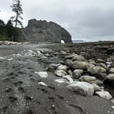 Rialto Beach Trail, Washington - 334 Reviews, Map | AllTrails