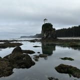 Rialto Beach Trail, Washington - 334 Reviews, Map | AllTrails