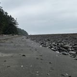 Rialto Beach Trail, Washington - 334 Reviews, Map | AllTrails