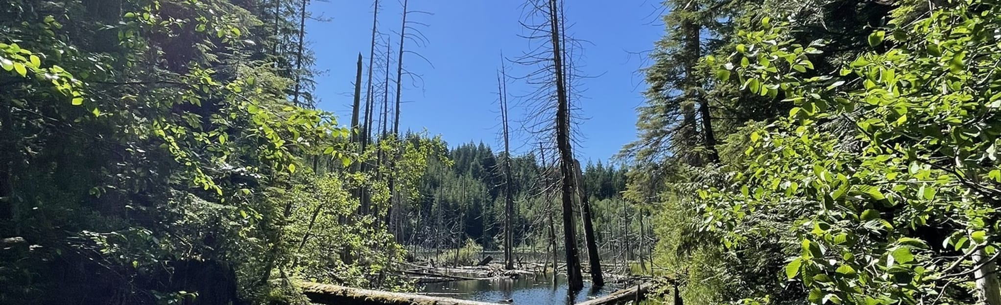 Beaver Pond and Crowston Lake Loop, British Columbia, Canada - 24 ...