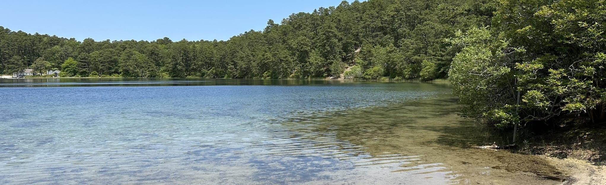 AllTrails | Duck Pond, Great Pond and Whitecrest Beach Loop : 93 ...