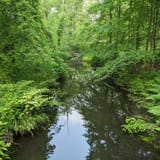 Lenape Trail , New Jersey - 496 Reviews, Map | AllTrails