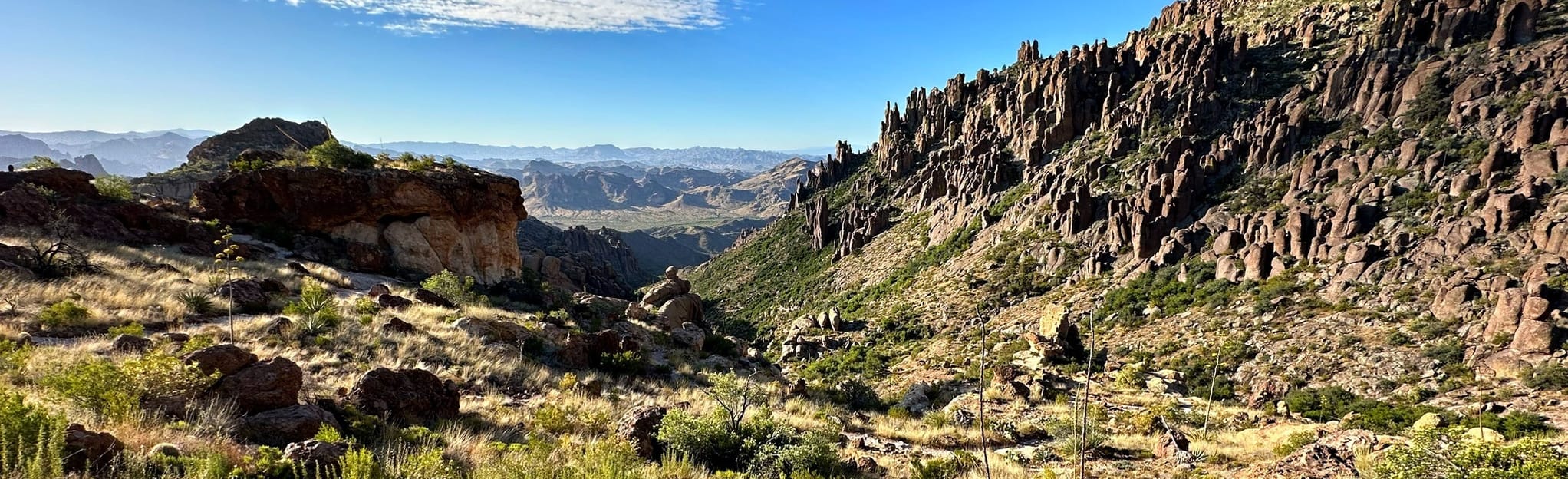 Weaver's Needle Scramble Loop: 22 Reviews, Map - Arizona | AllTrails