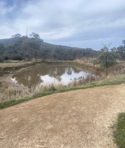 Best Hikes and Trails in Aranda Bushland Nature Reserve | AllTrails