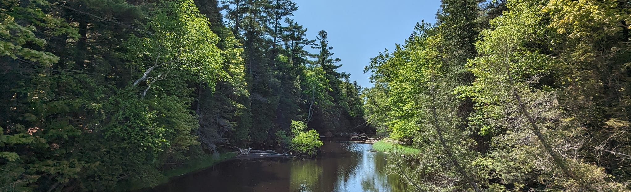 Grand Island West Rim, Michigan - 17 Reviews, Map | AllTrails