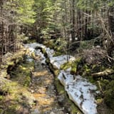 Imp Trail, New Hampshire - 392 Reviews, Map | AllTrails