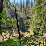 Terwilliger (Cougar) Hot Springs, Oregon - 304 Reviews, Map | AllTrails