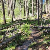 Government Springs 95A, Arizona - 449 Reviews, Map | AllTrails