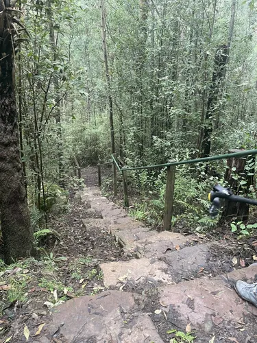 Best Hikes and Trails in Labertouche Cave Geological Reserve | AllTrails