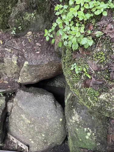 Best Hikes and Trails in Labertouche Cave Geological Reserve | AllTrails