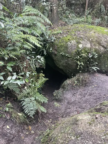 Best Hikes and Trails in Labertouche Cave Geological Reserve | AllTrails