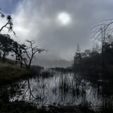 Kelly Lake Loop: Jim Donnelly and Grizzly Gulch Trails, California - 91 ...