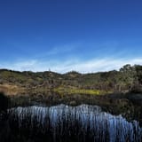 Kelly Lake Loop: Jim Donnelly and Grizzly Gulch Trails, California - 91 ...