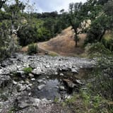 Kelly Lake Loop: Jim Donnelly and Grizzly Gulch Trails, California - 80 ...