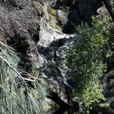 Kelly Lake Loop: Jim Donnelly and Grizzly Gulch Trails, California - 80 ...