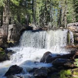 Government Springs 95A, Arizona - 449 Reviews, Map | AllTrails