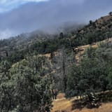 Kelly Lake Loop: Jim Donnelly and Grizzly Gulch Trails, California - 91 ...