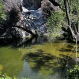 Kelly Lake Loop: Jim Donnelly and Grizzly Gulch Trails, California - 91 ...
