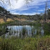 Kelly Lake Loop: Jim Donnelly and Grizzly Gulch Trails, California - 91 ...
