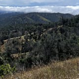 Kelly Lake Loop: Jim Donnelly and Grizzly Gulch Trails, California - 91 ...