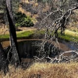 Kelly Lake Loop: Jim Donnelly and Grizzly Gulch Trails, California - 91 ...