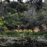 Kelly Lake Loop: Jim Donnelly and Grizzly Gulch Trails, California - 91 ...