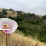 Kelly Lake Loop: Jim Donnelly and Grizzly Gulch Trails, California - 91 ...